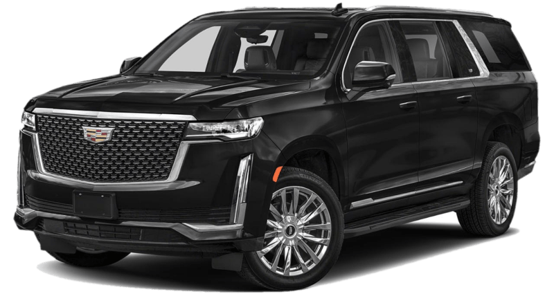 Vip Lane Chauffeur Service Los Angeles & Orange county